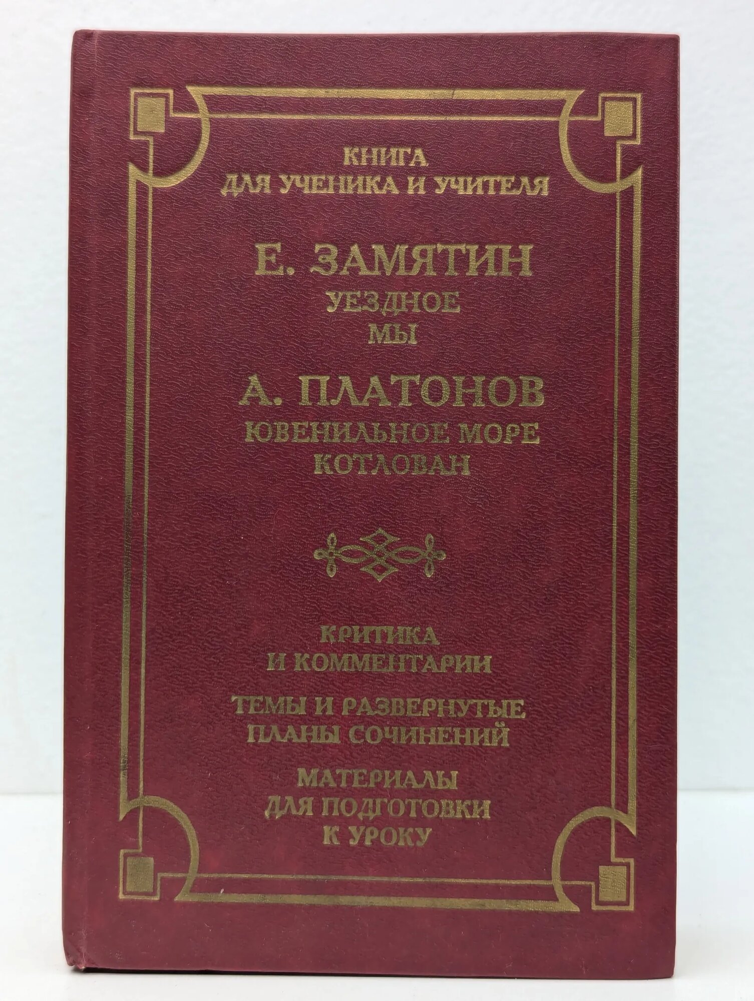 Е. Замятин. Уездное. Мы. А. Платонов. Ювенильное море. Котлован. Критика и комментарии. Темы и развернутые планы сочинений. Материалы для подготовки к уроку Иванова Наталья Борисовна, Платонов Андрей Платонович, Замятин Евгений Иванович, Страхова Людмила Д