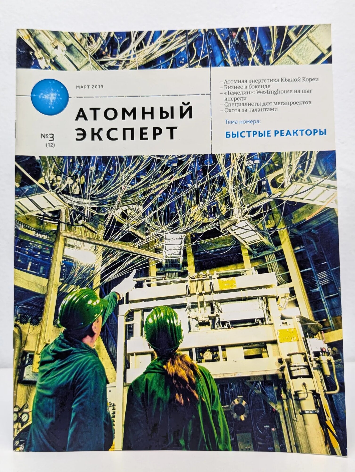 Журнал "Атомный эксперт". Выпуск №3, 2013 Гилева Юлия (ред.) 2013