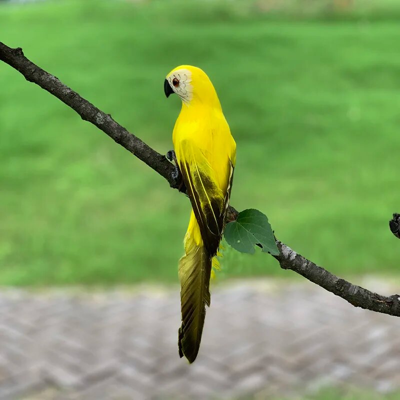 Фигурки попугаев из пера YW0717 Желтый, 25CM Yellow Parrot