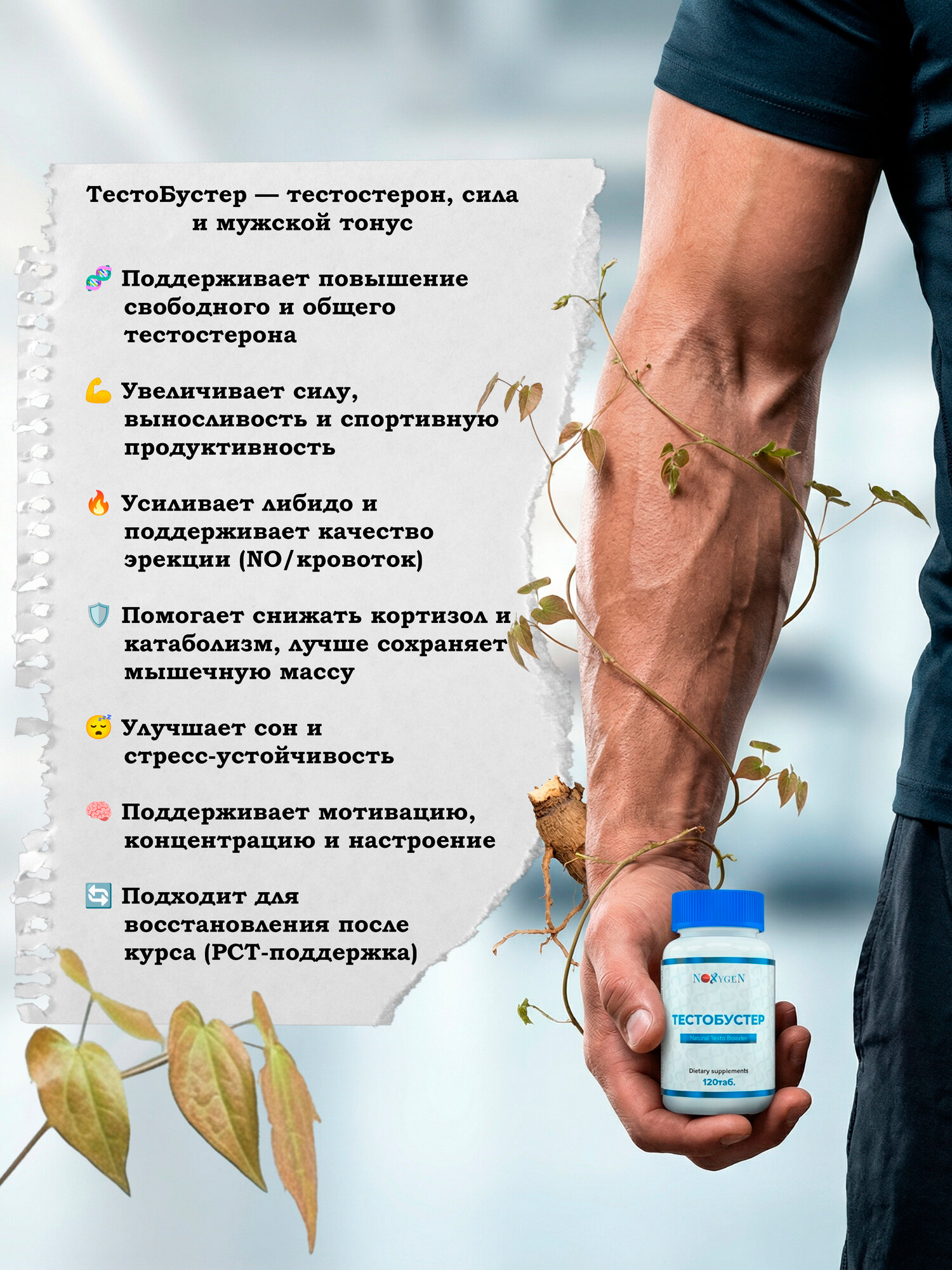 Noxygen тестобустер 120таб. - натуральный тестостероновый бустер для наращивания мышечной массы и жиросжигания