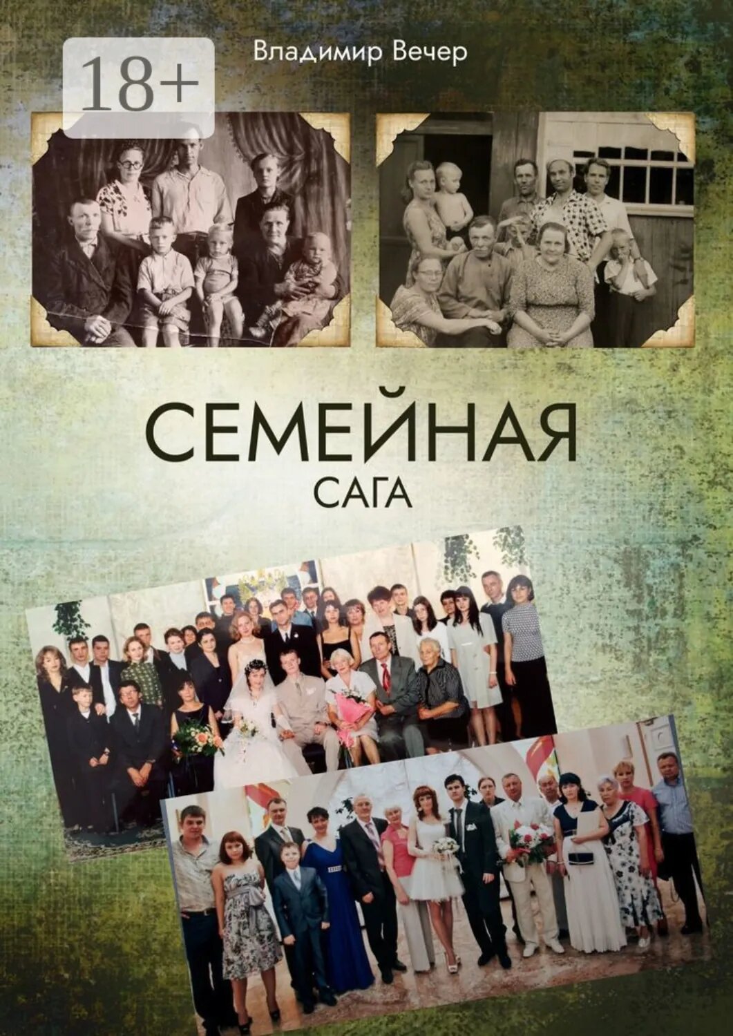 Семейная сага [Цифровая книга]