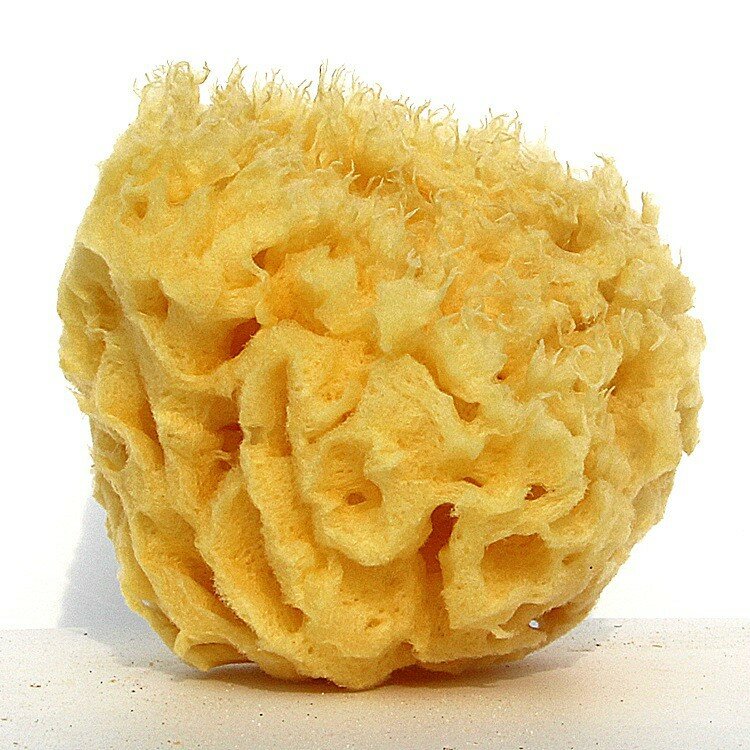 Натуральная греческая губка для умывания в виде сот, мягкая, удобная, впитывающая губка для ванны для взрослых