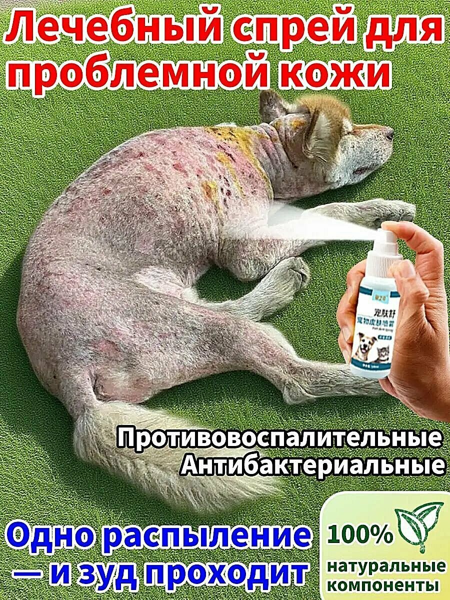 Косметика для животных