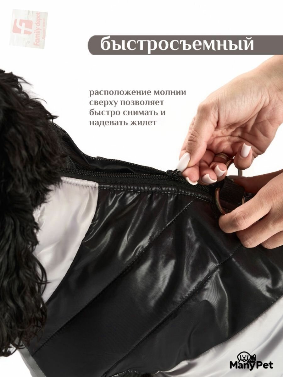 Одежда для животных — фото 1