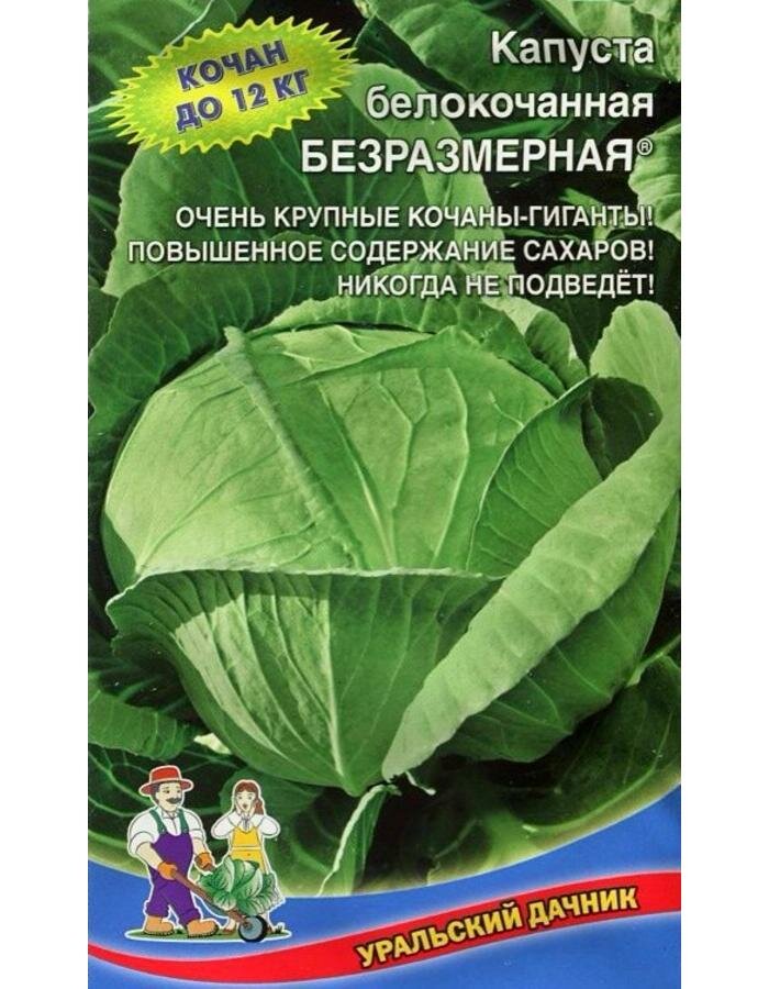 Семена Капуста белокочанная Безразмерная Уральский Дачник