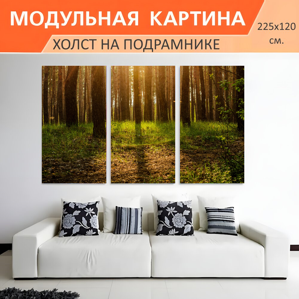 Модульная картина на холсте "Лес, экология, дерево" триптих на подрамнике 225х120 см. для интерьера