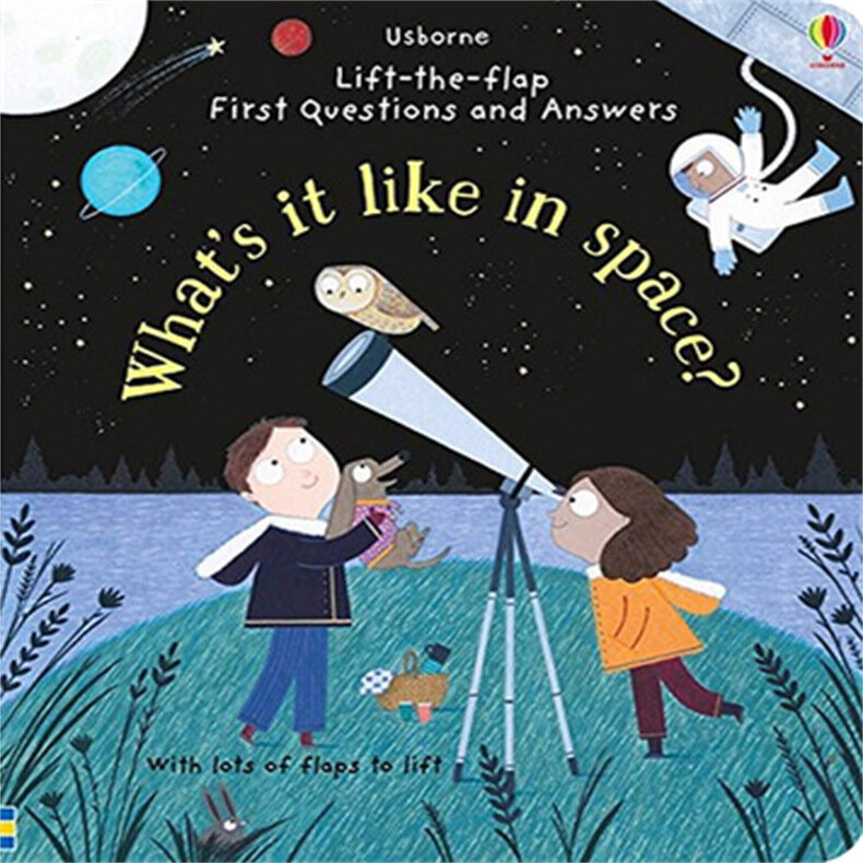 Usborne Lift The Flap Первые Вопросы и Ответы Картонный Флип