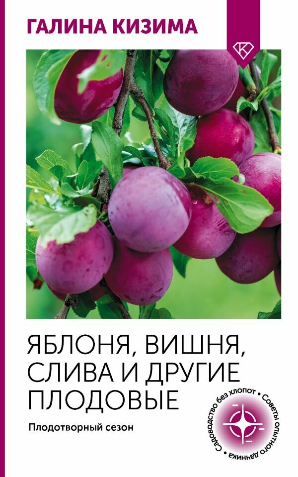 Яблоня, вишня, слива и другие плодовые. Плодотворный сезон. Кизима Г.