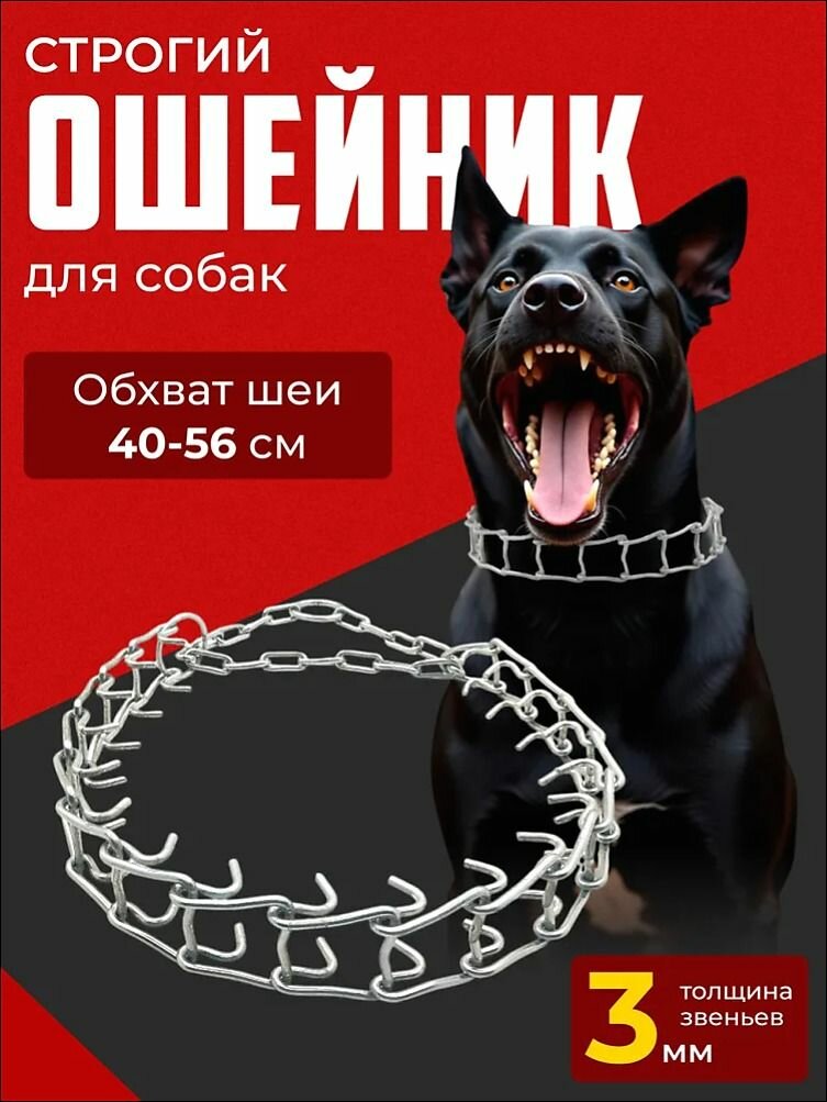 Ошейник для собак строгий металлический
