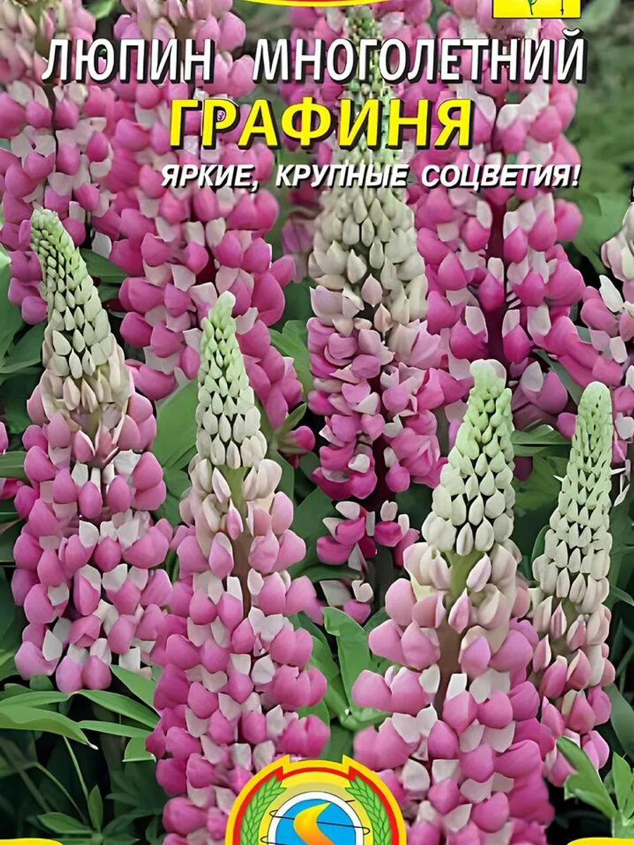 Люпин Графиня многолетний 0,45 г, Плазменные семена