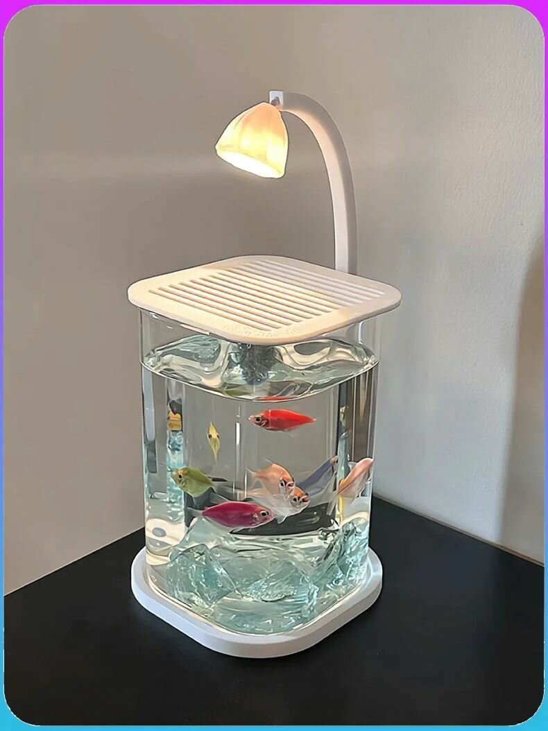 Мини-аквариум с рыбками, аквариумный садок