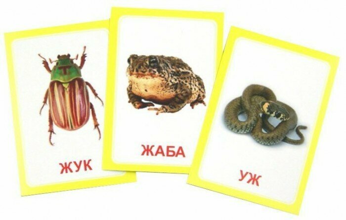 Логопедка Ж Набор логопедических карточек