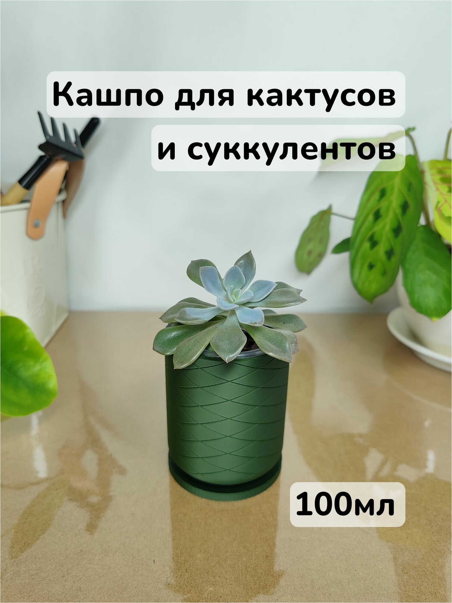Кашпо спираль mini, тёмно-зелёный, 100мл