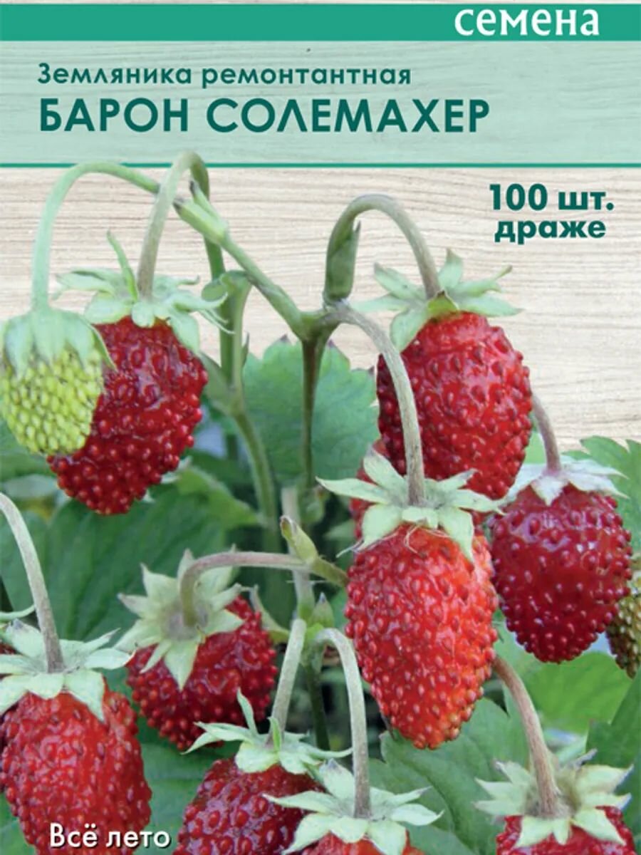 Земляника Барон Солемахер ремонтантная 100 шт, Семена Поиск