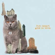 THE BRIAN JONESTOWN MASSACRE Fire Doesn'T Grow On Trees (LP)