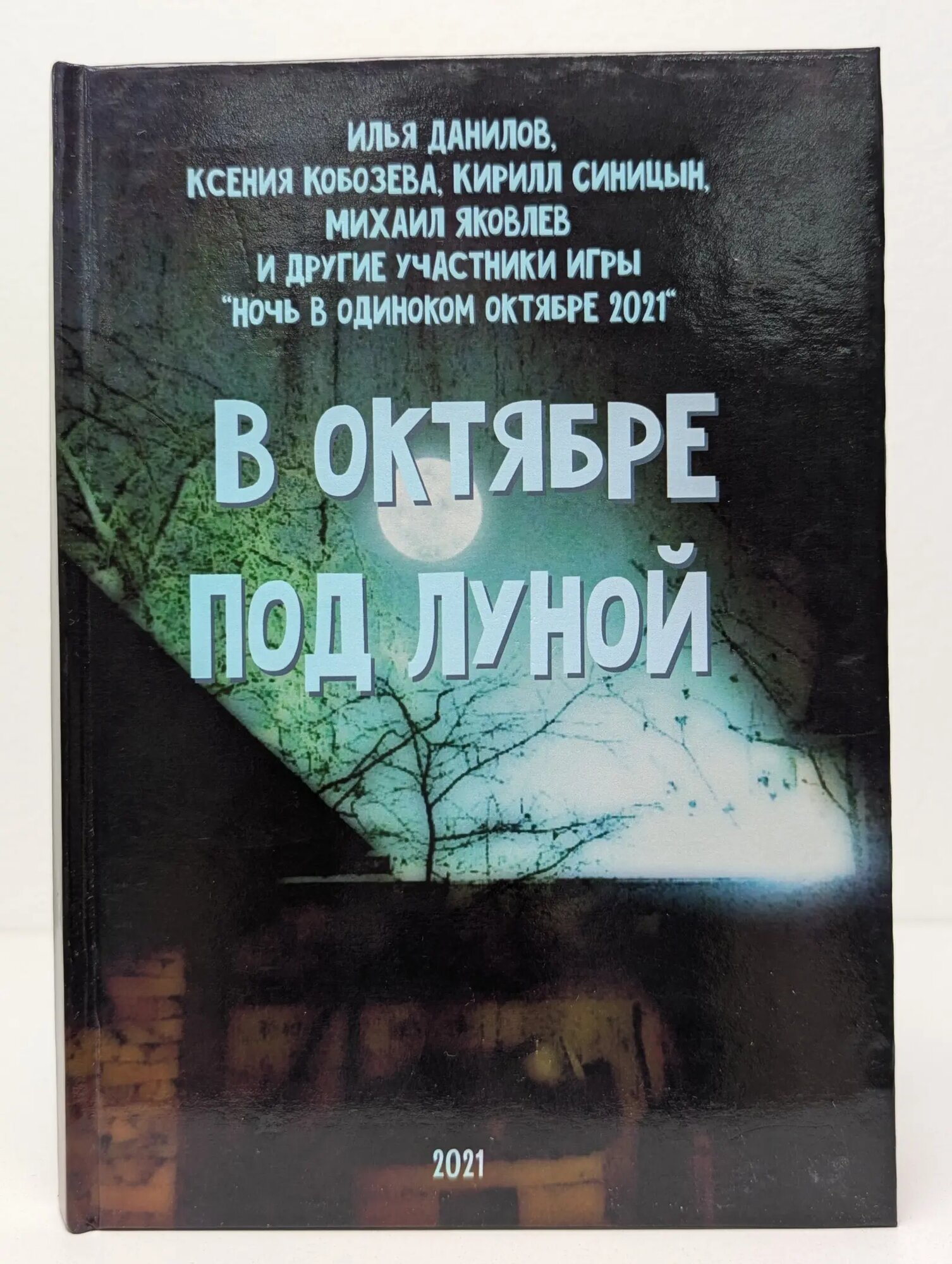 В октябре под луной Данилов Илья, Кобозева Ксения, Синицын Кирилл 2021