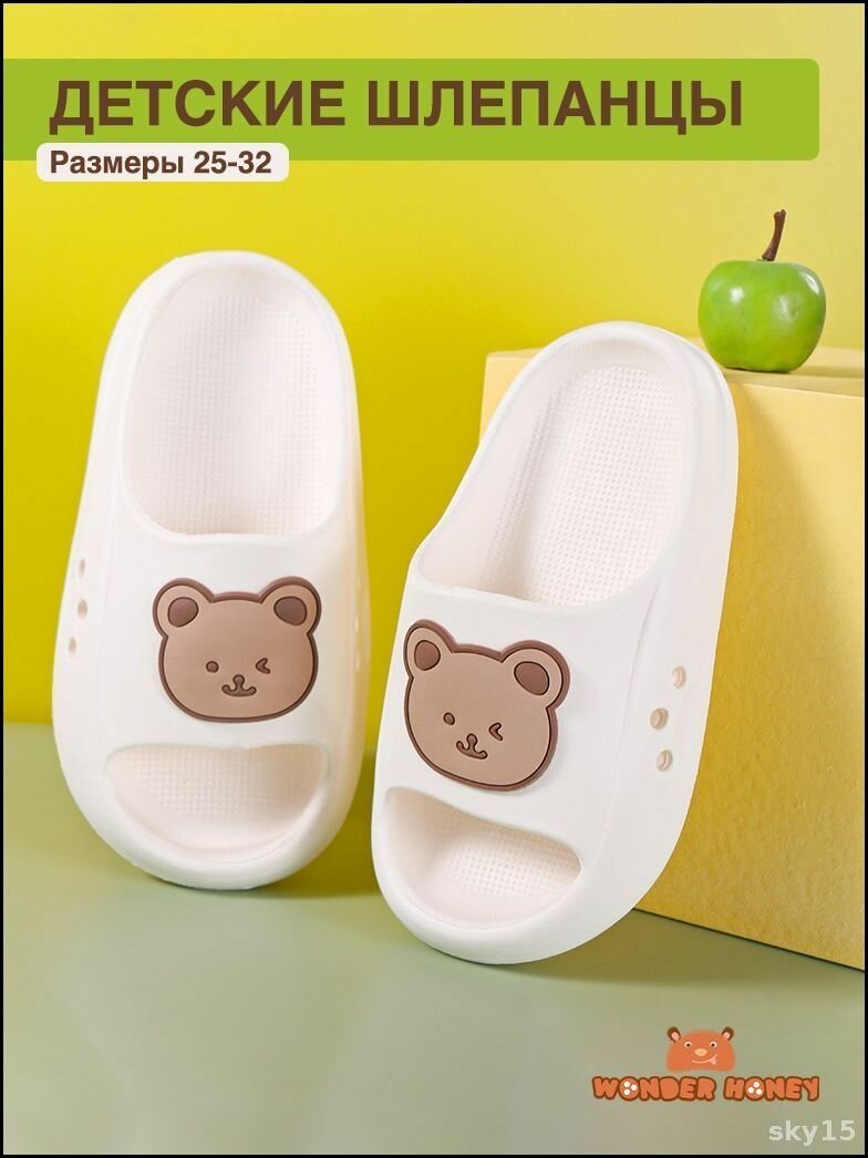 Сланцы
