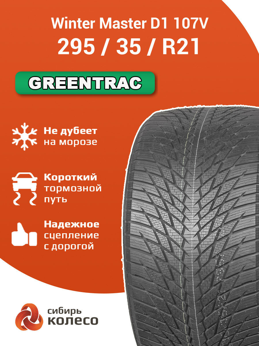 295/35R21 Greentrac Winter Master D1 107V