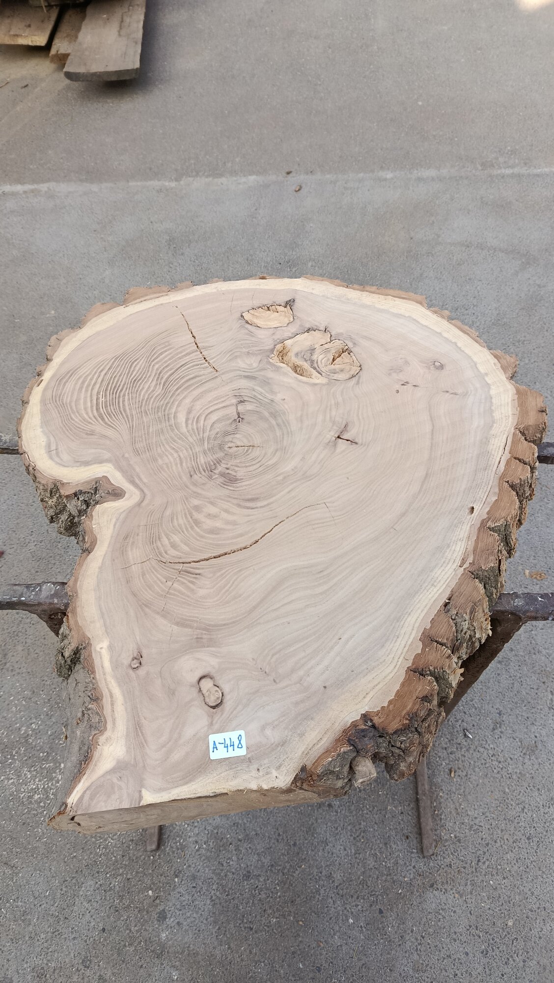 Спил из карагача, 60х45х7,5см (А448) высушенный и фрезерованный