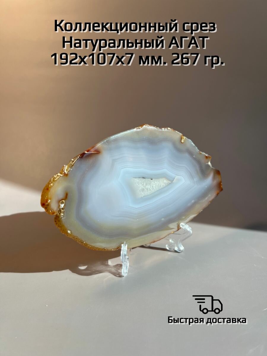 Коллекционный срез натурального камня Агат. 192х107х7 мм. 267 гр.