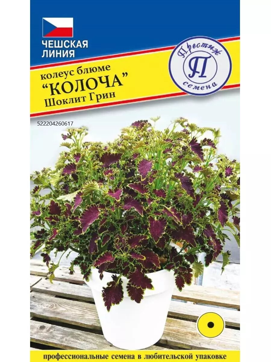 Семена колеуса Престиж "Колоча Шоклит Грин", декоративно-лиственное, 5 шт