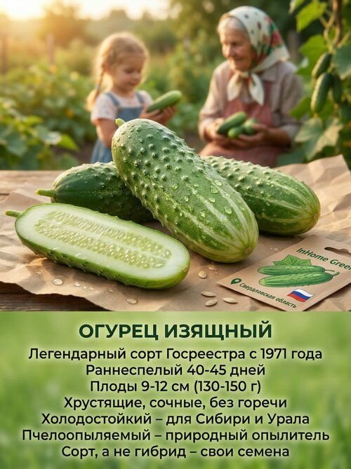 Огурец изящный Идеален для небольших участков! Раннеспелый сорт, пчёлоопыляемый, длина плети до 60 см, плоды универсальные (засолка, салаты), дружная отдача урожая, устойчив к засухе