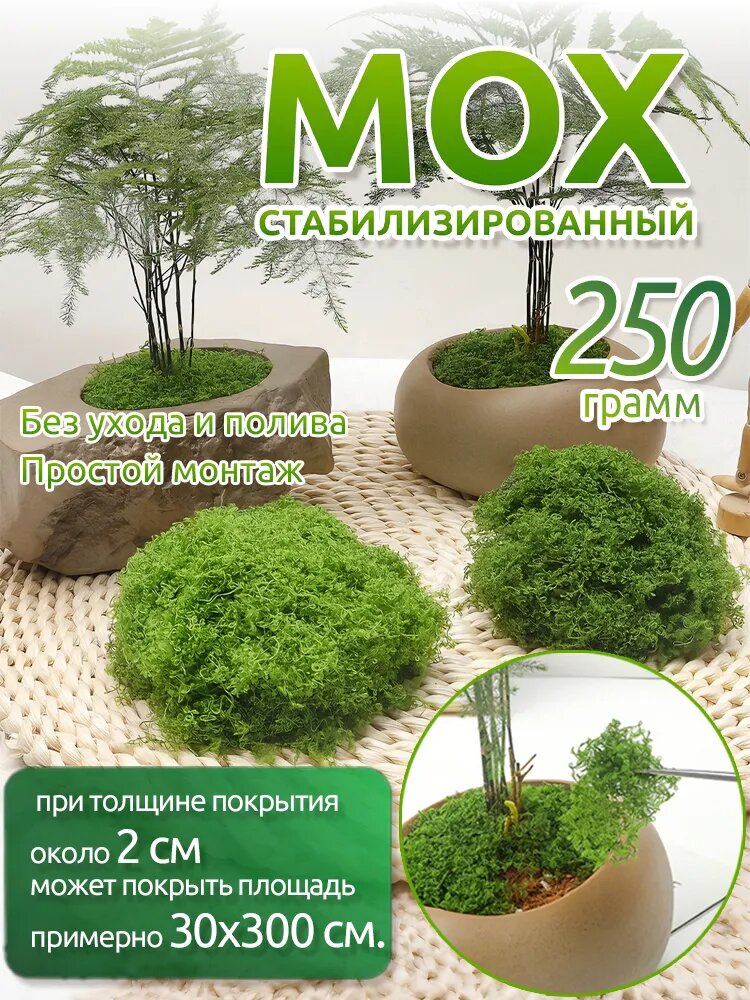 Стабилизированный мох Мох, 2 см, 250 гр
