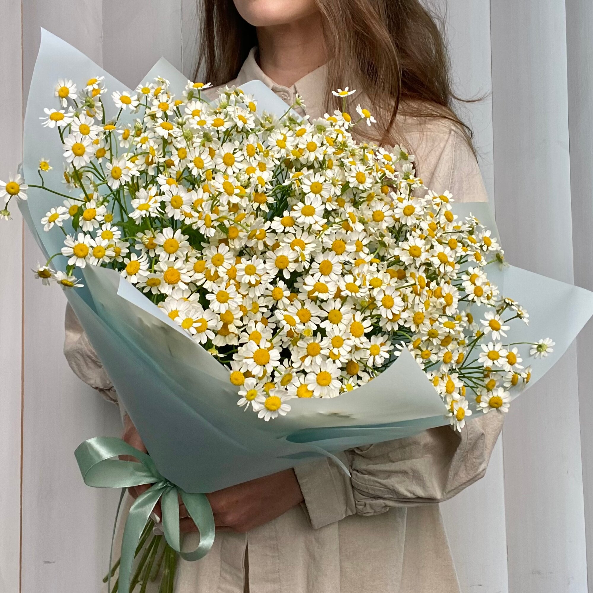 Букет кустовых ромашек в пленке , из 15 штук , Ver Flowers