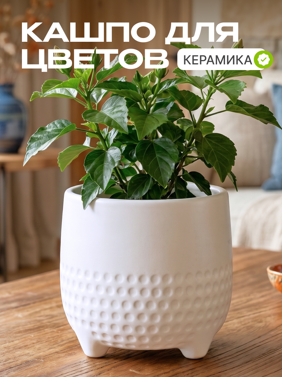 Кашпо декоративное для цветов, комнатных растений и сухоцветов Белое, керамическое, круглое, фигурное, для дома и дачи