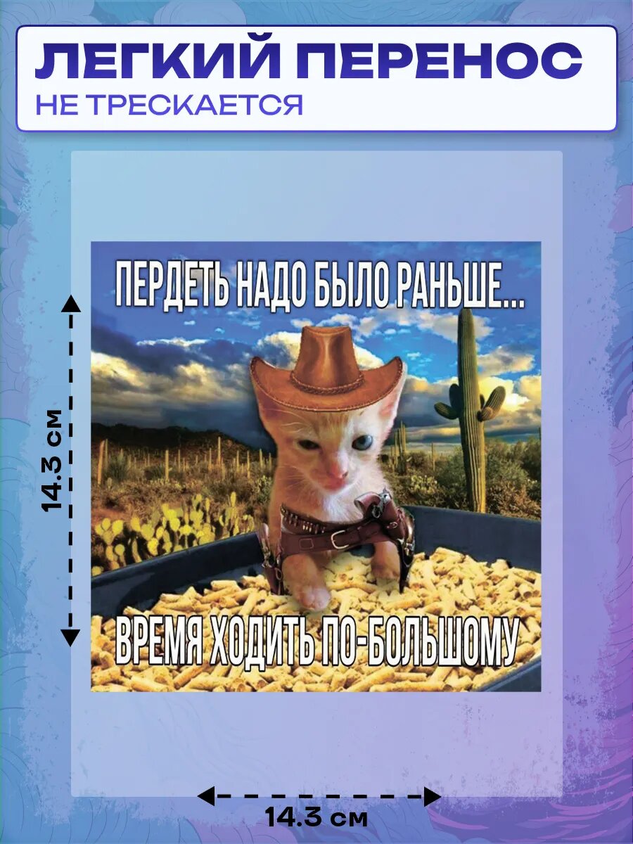 Термонаклейка cat meme — фото 1