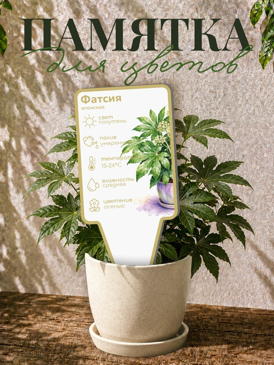 Фигурки для сада Фатсия