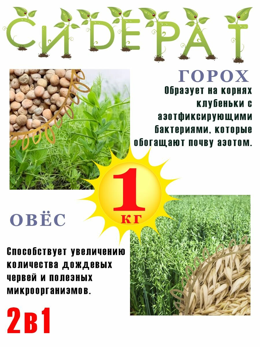 Сидерат Горох Овес 1кг
