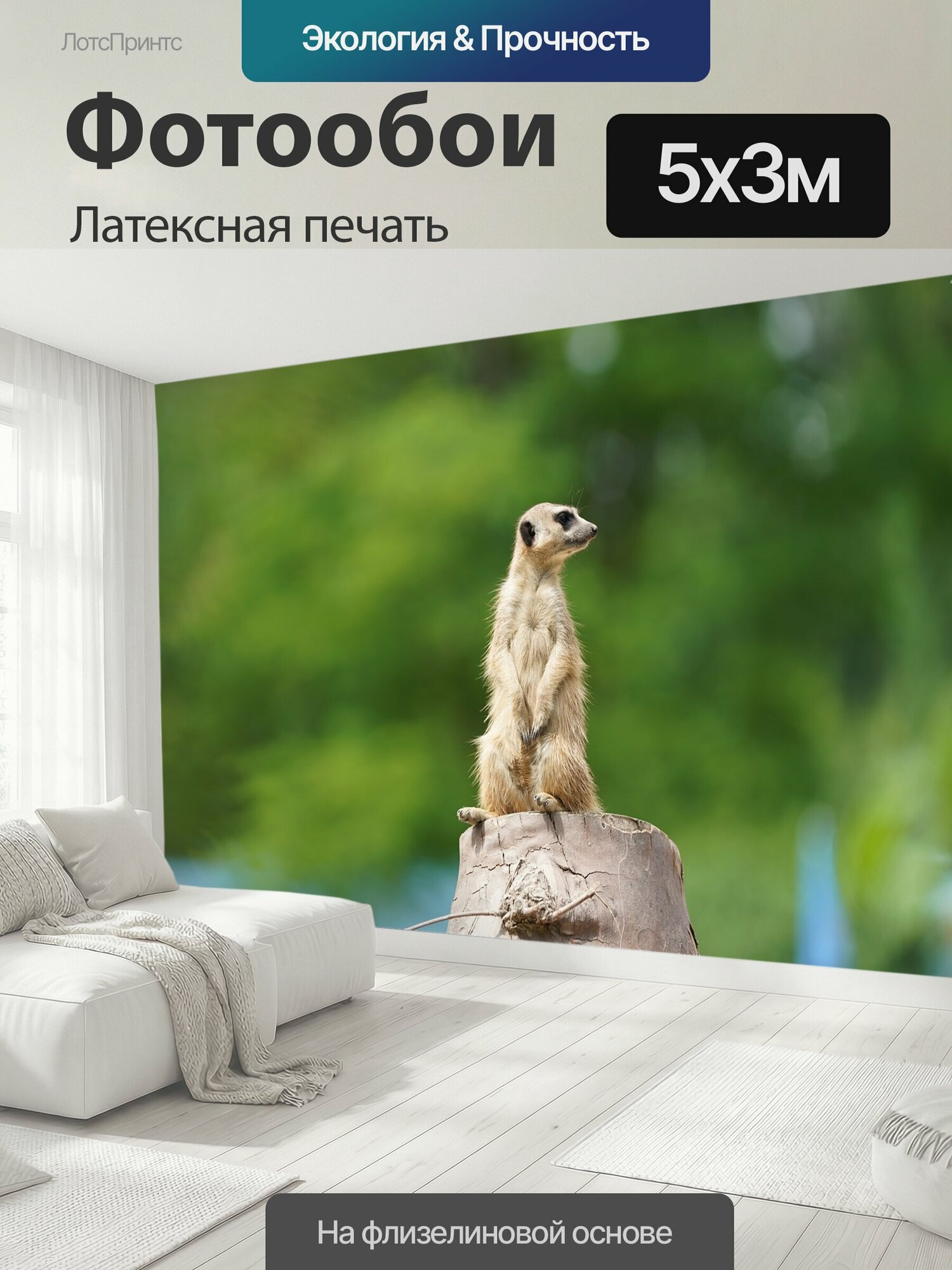 Фотообои моющиеся ударопрочные "Сурикат, осторожно, хранитель" 500x300 см. латексная печать