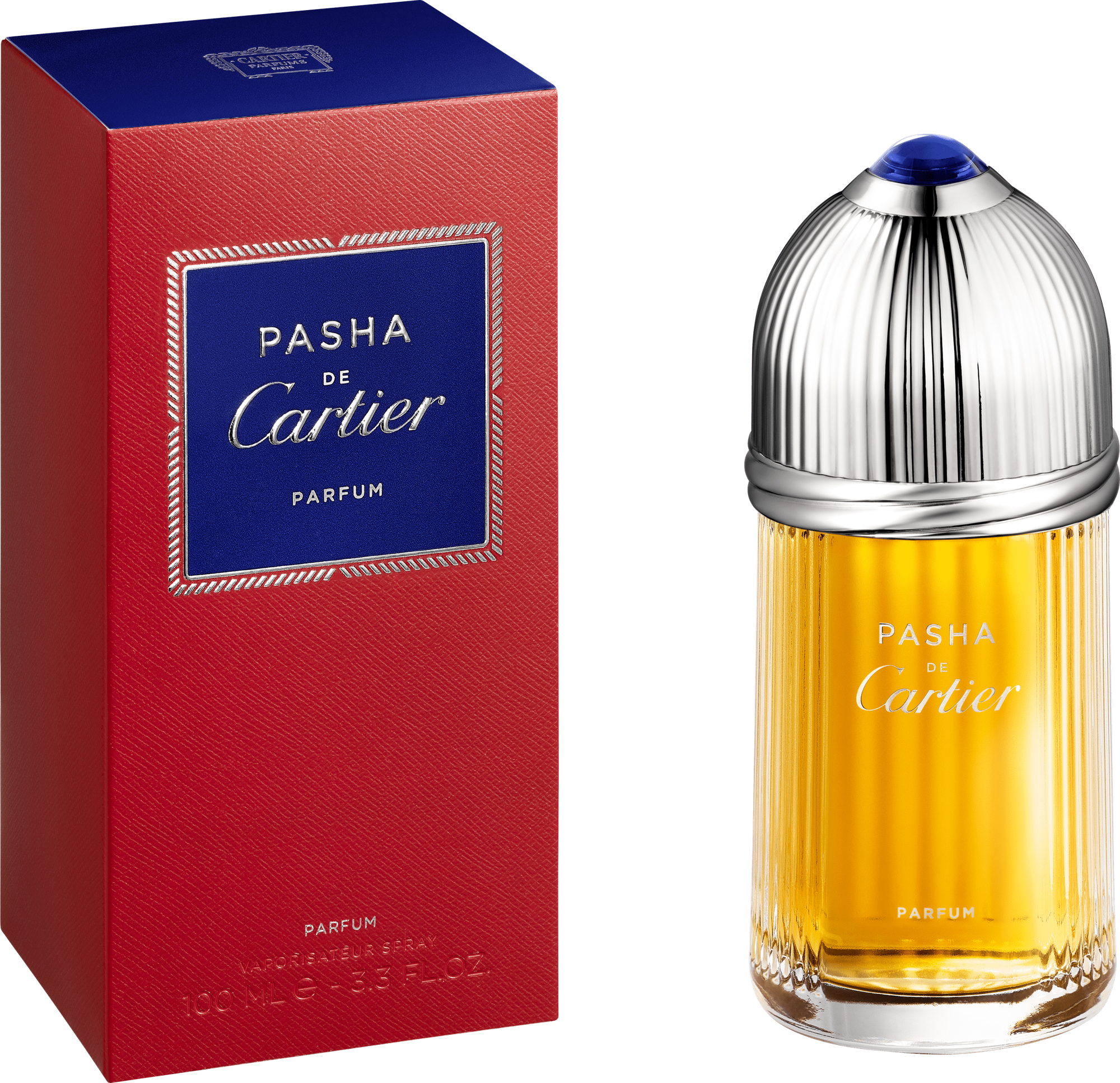 Духи Cartier Pasha De Cartier Parfum, аромат для мужчин, 100 мл