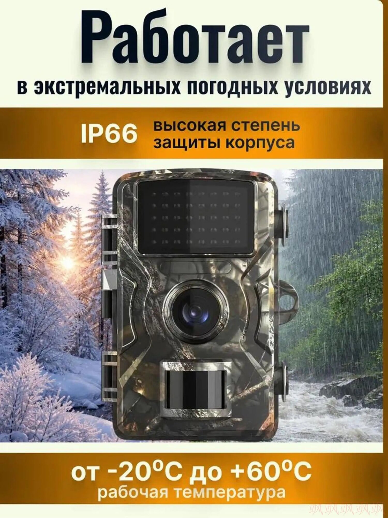 Фотоловушка — фото 1