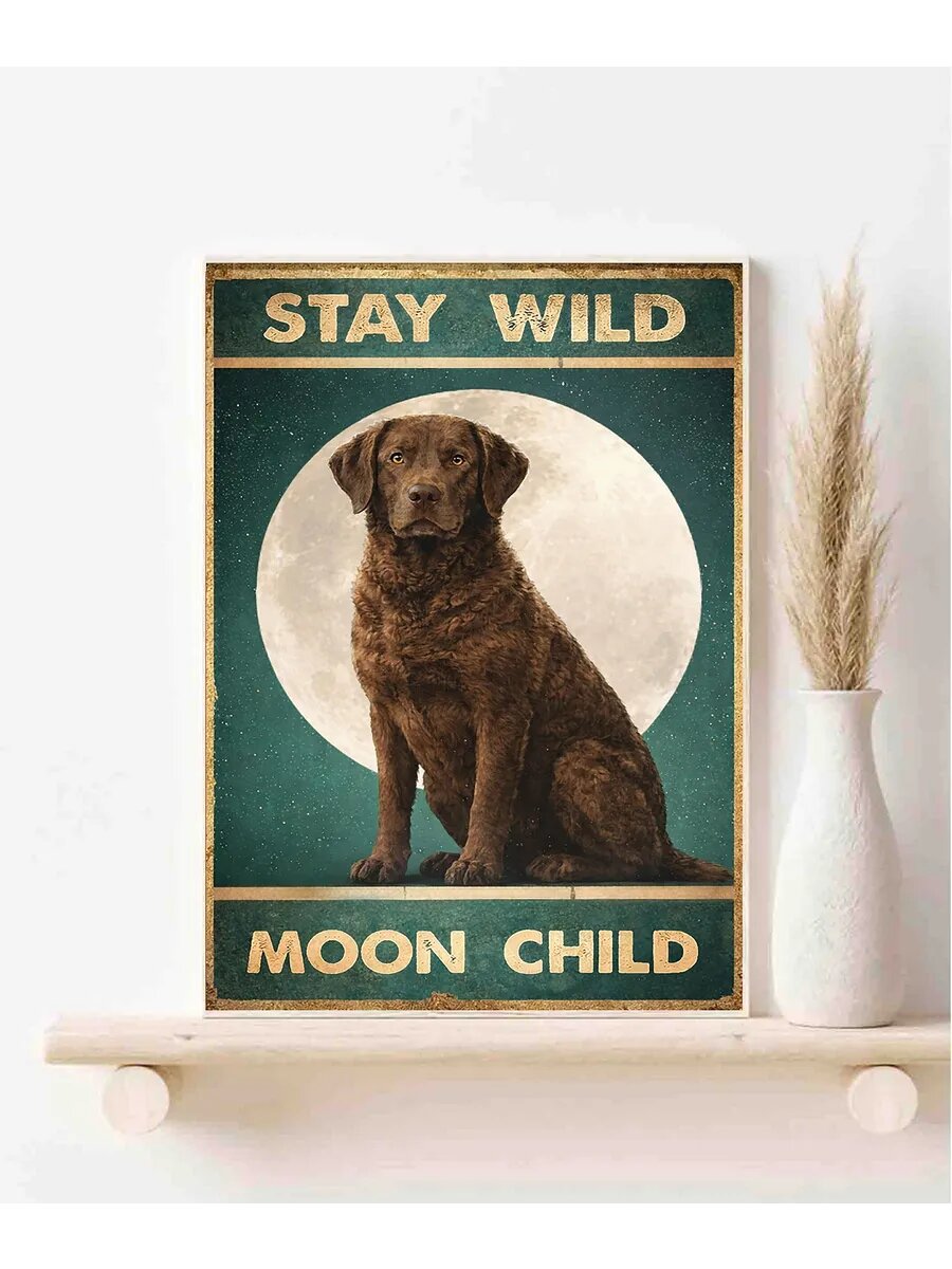 Чесапик-бей-ретривер, Stay Wild Moon Child, Плакат 30x42см