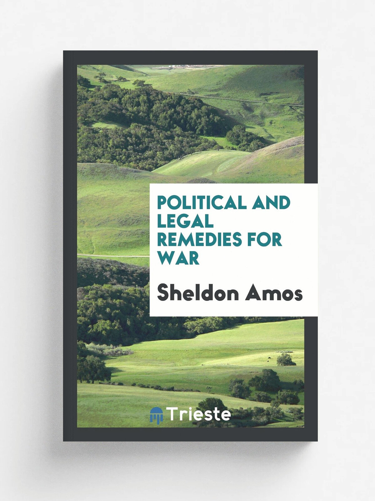 Political and Legal Remedies for War