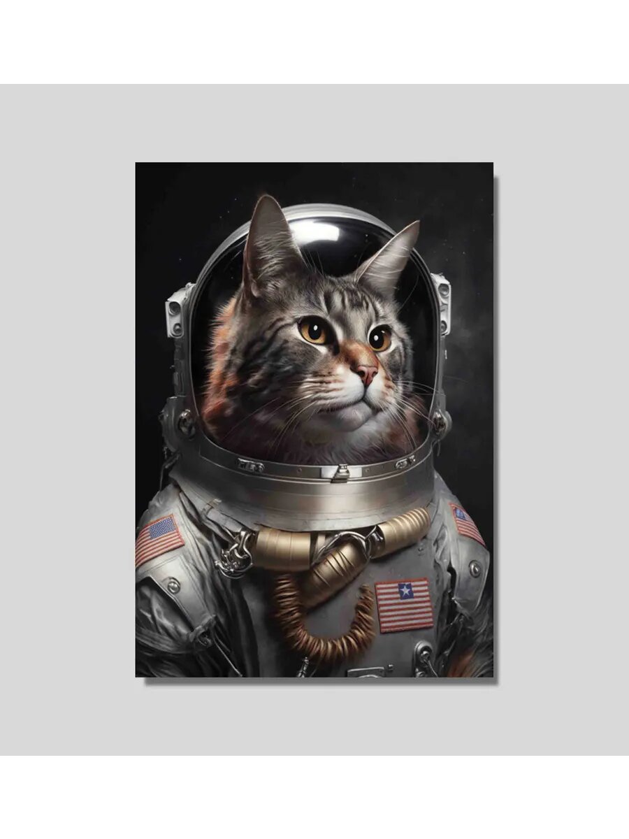 Американский бобтейл-космонавт 4, Плакат 30x42см