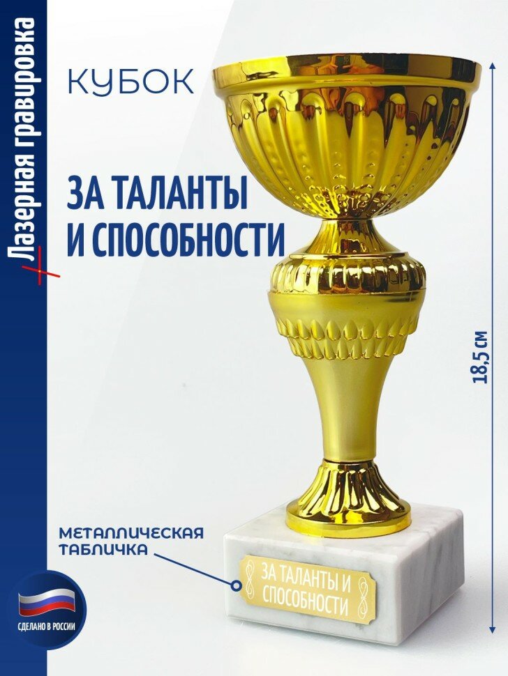 Кубок "За таланты и способности" (18,4 см)