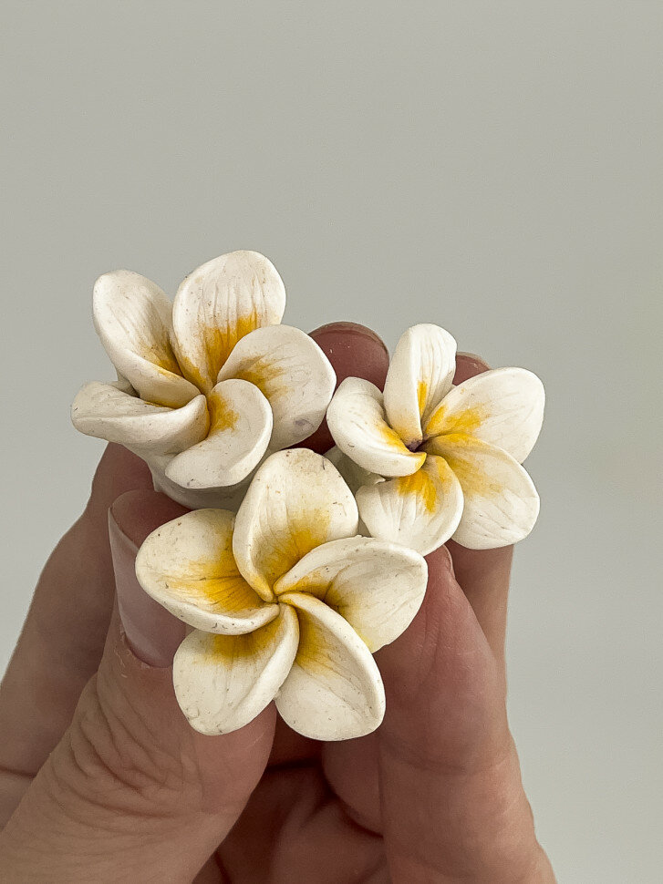 Плюмерия мини силиконовая форма 3D