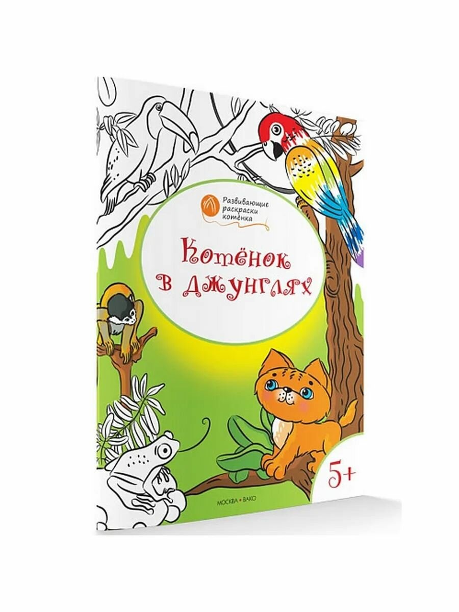Развивающие раскраски 5+. Котёнок в джунглях