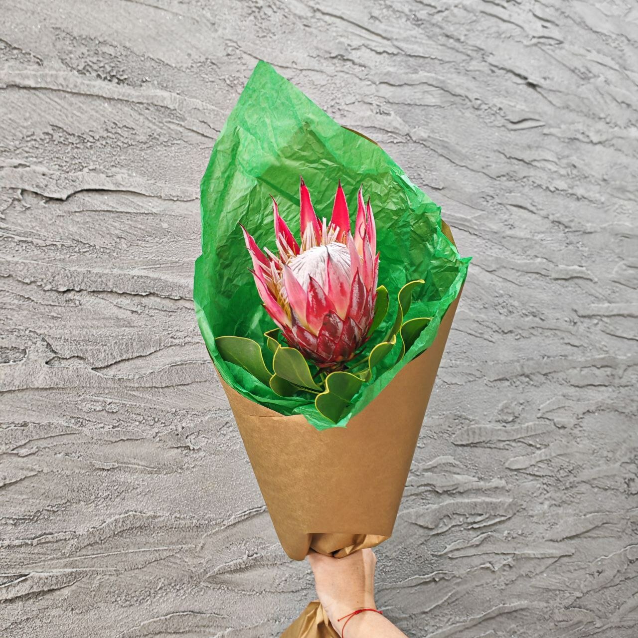 Цветок протея в дизайнерской упаковке "Африканская роза"