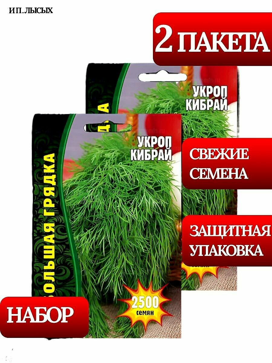 Семена Укроп "Кибрай"