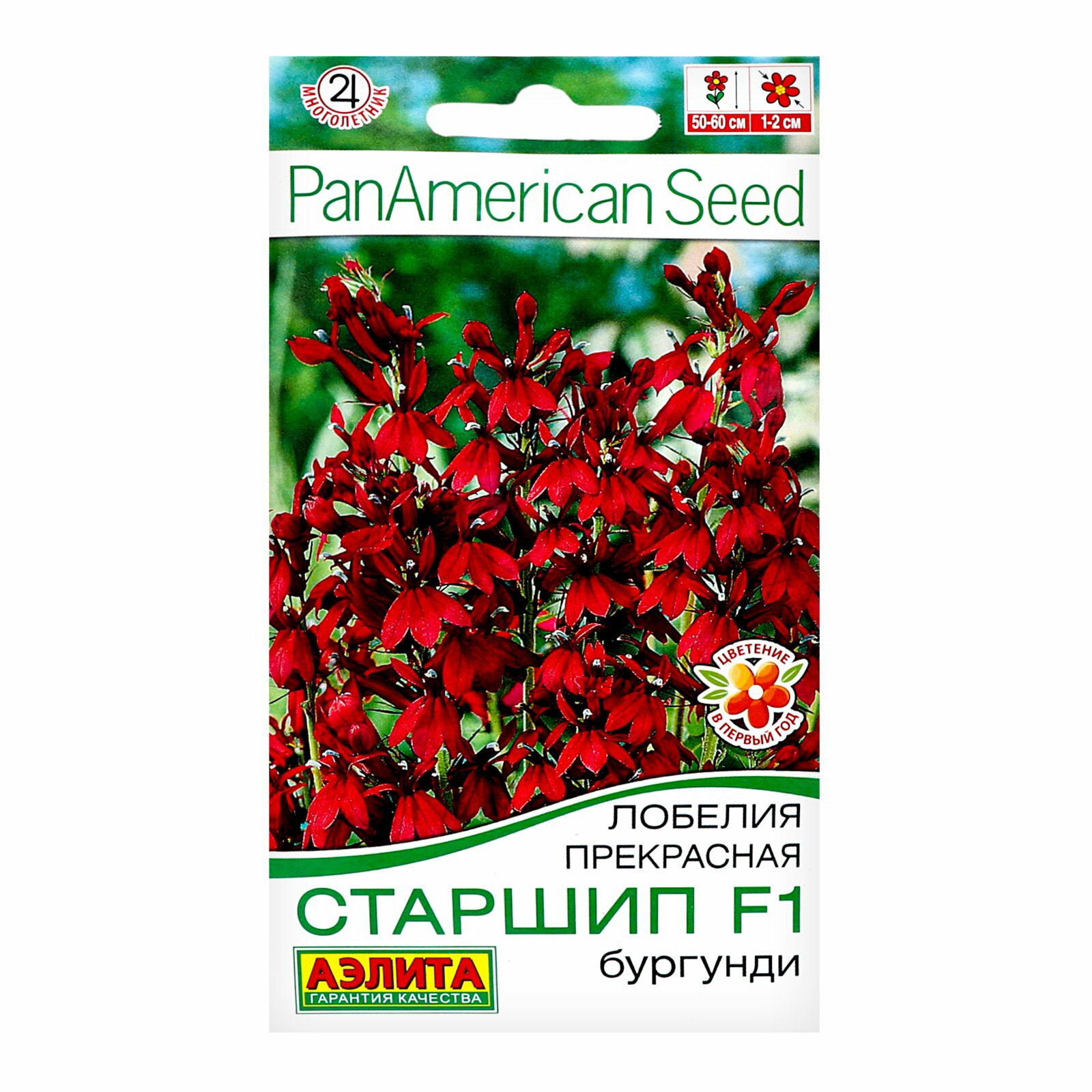 Семена Цветов Лобелия "Старшип", F1, бургунди, пробирка, 5 шт