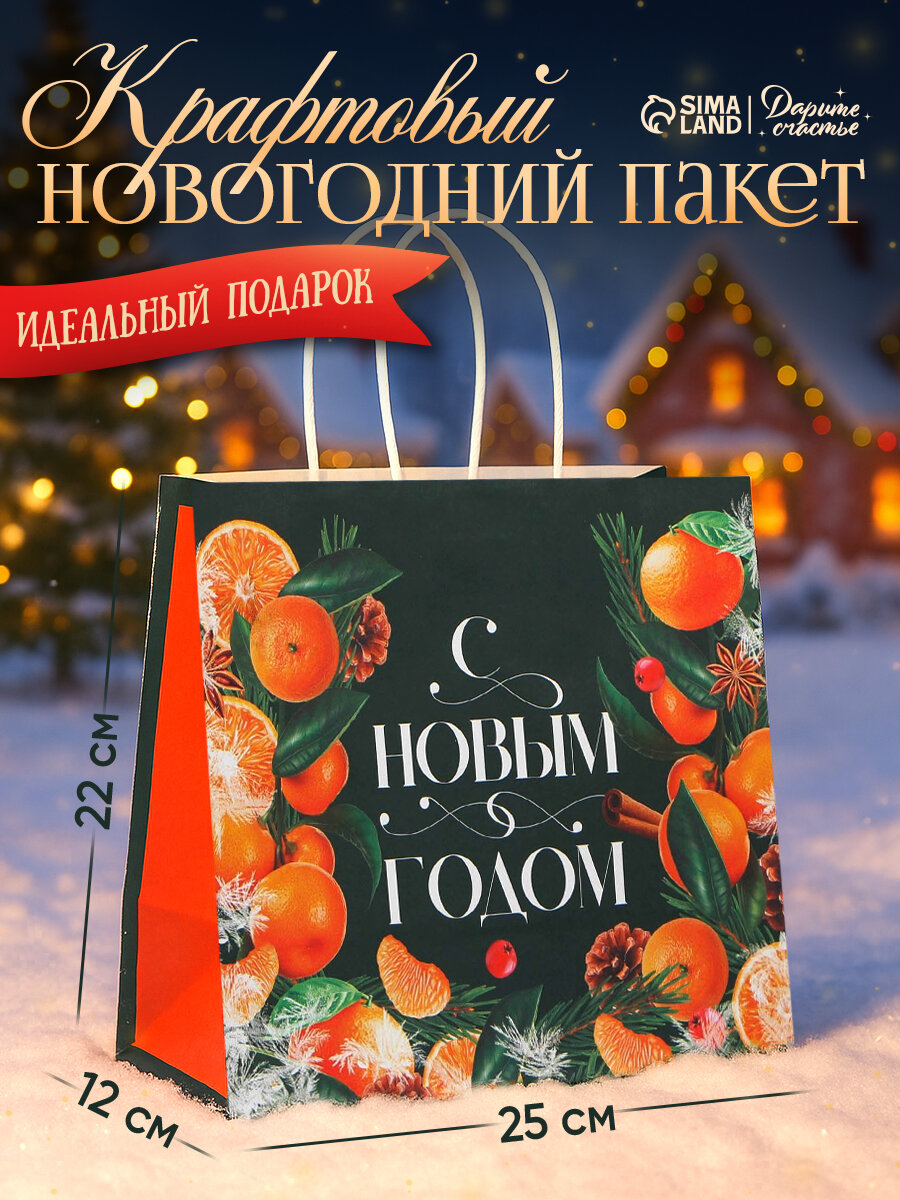 Пакет подарочный крафтовый «Новогодняя суета», 25 х 22 х 12 см