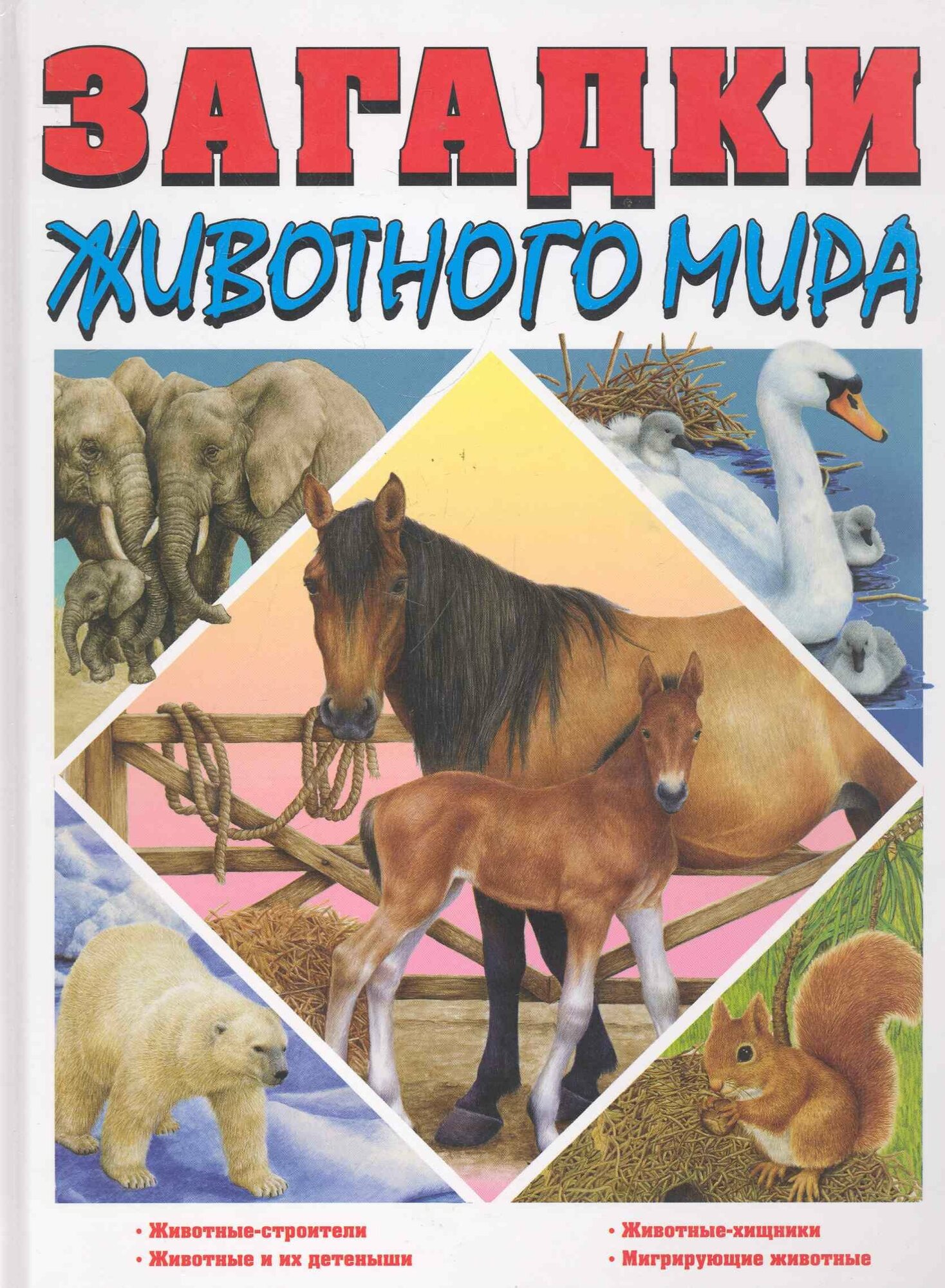 Закадки животного мира