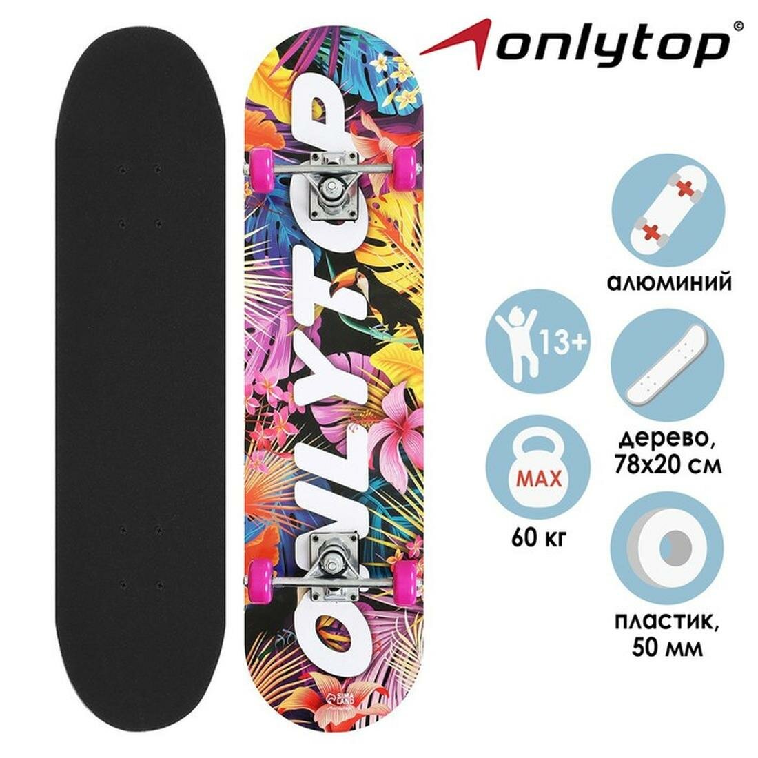 Скейтборд подростковый 78 х 20 см, колеса PVC 50 мм, алюминиевая подвеска 7161981