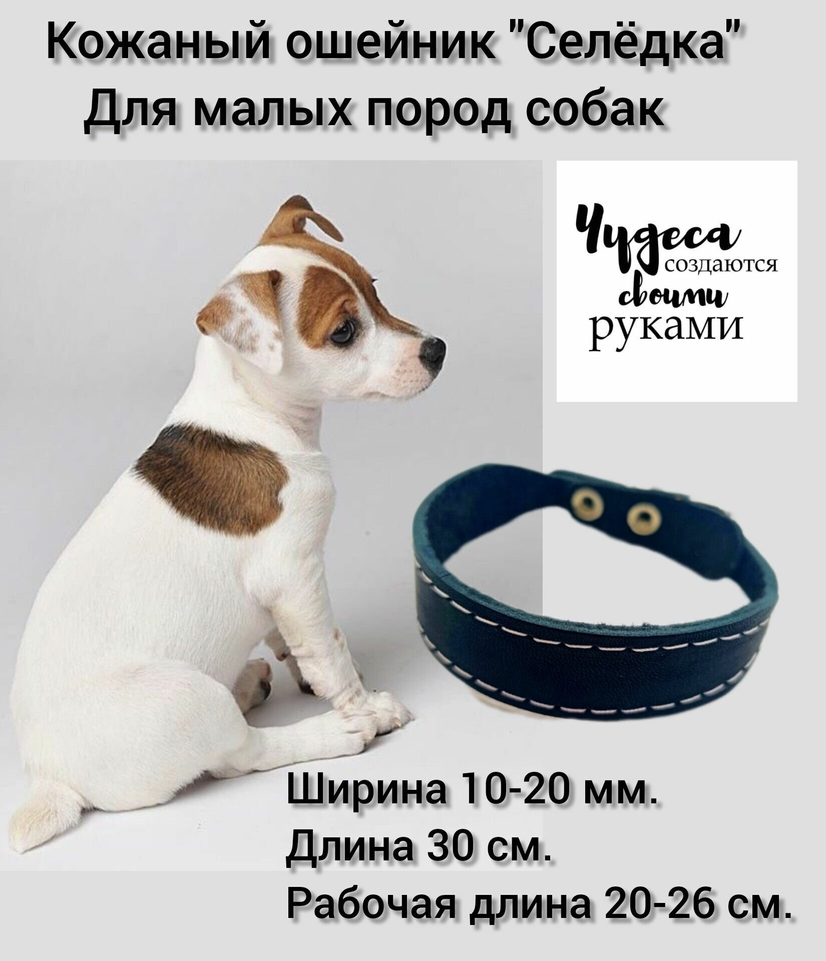 Ошейник из натуральной кожи для малых пород собак. Селёдка
