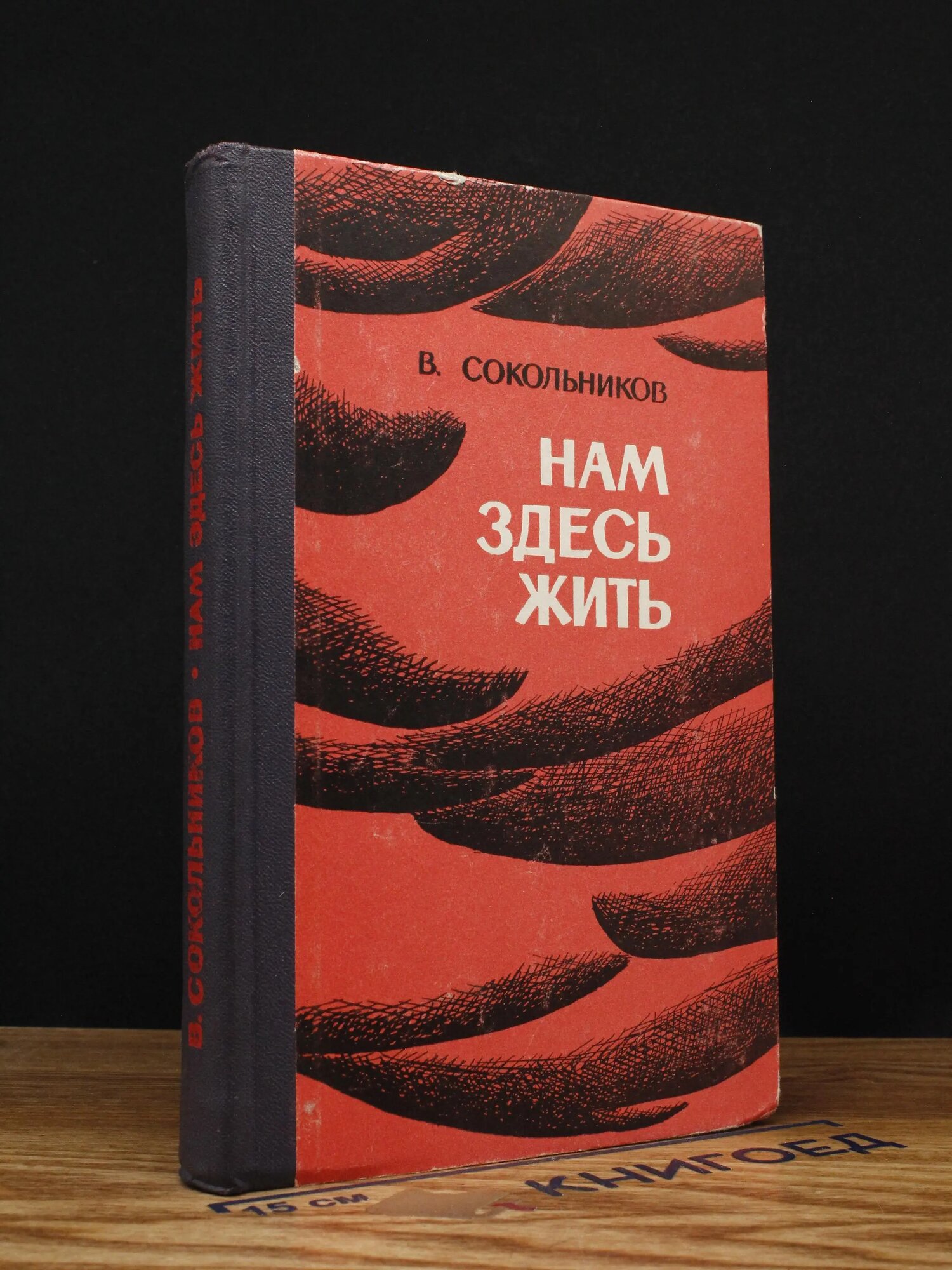 Книга. Нам здесь жить 1972 (2046240865175)