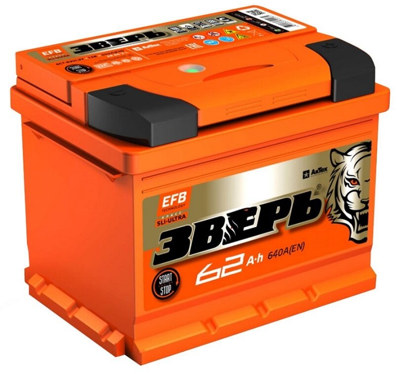 Аккумулятор автомобильный Зверь EFB 62 А/ч 640 А обр. пол. низкий Евро авто (242x175x175)